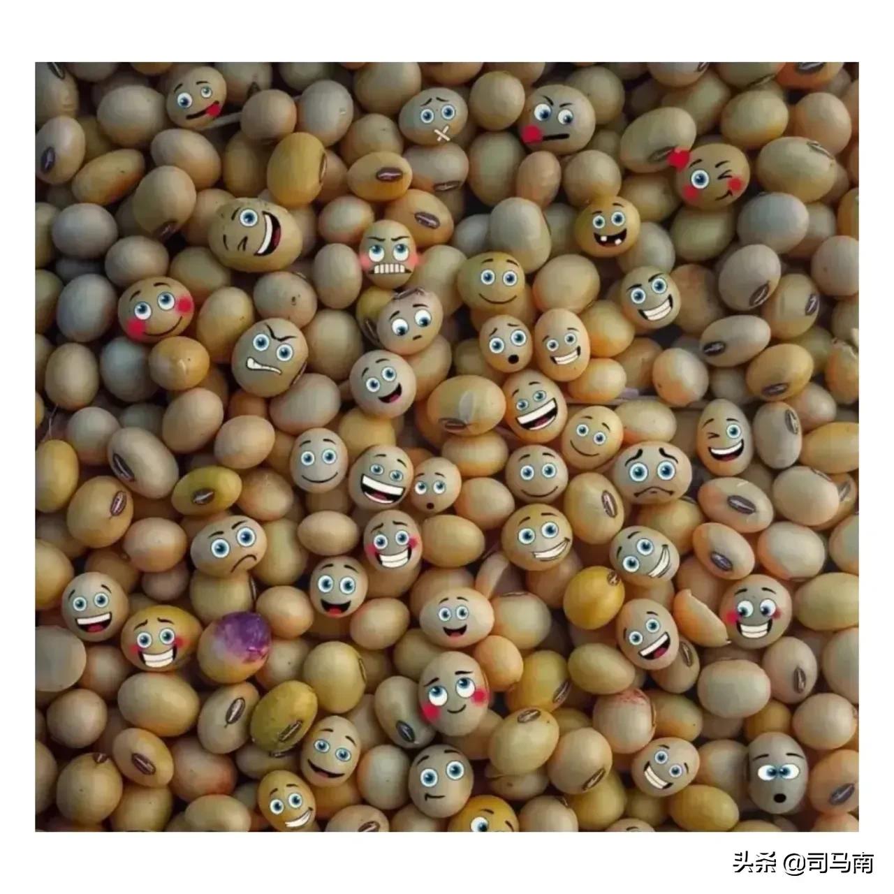Good student of Liu Chuanzhi, Joyvio Foods Chen Shaopeng - iNEWS