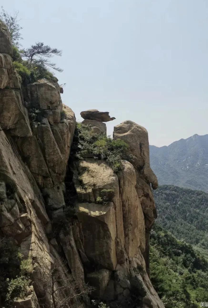 Seventy-two Gus in Yimeng—Datian Gu—Datian Gu, the middle Gu and the ...