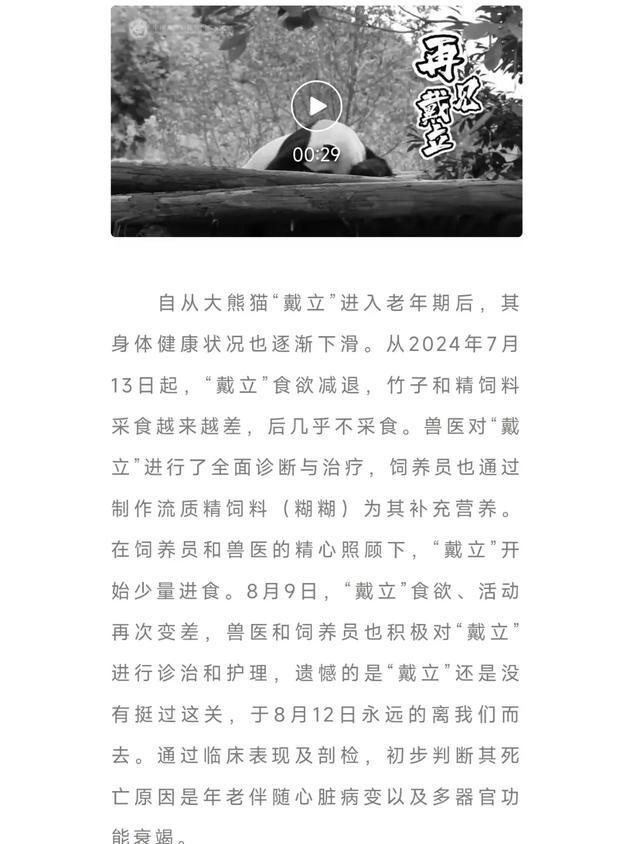 Dai Li is gone. I hope the uncle can walk freely on Pan Planet and ...