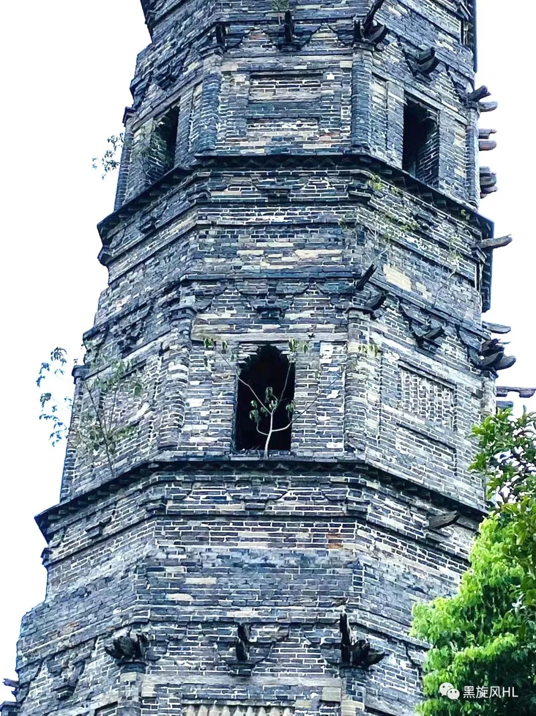 Legend of Qinglong (Qingpu Qinglong Tower) - iNEWS