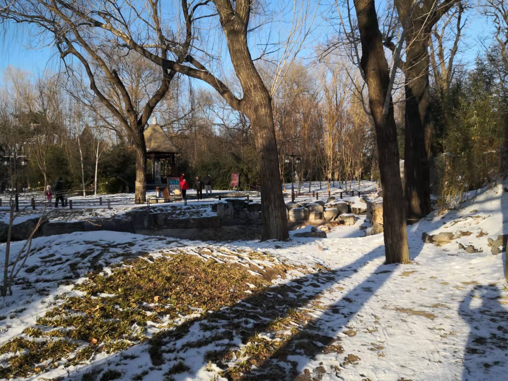 New Year's Eve Sky Lanlan (Ten Poems) Beijing Zhang Xingui - iNEWS