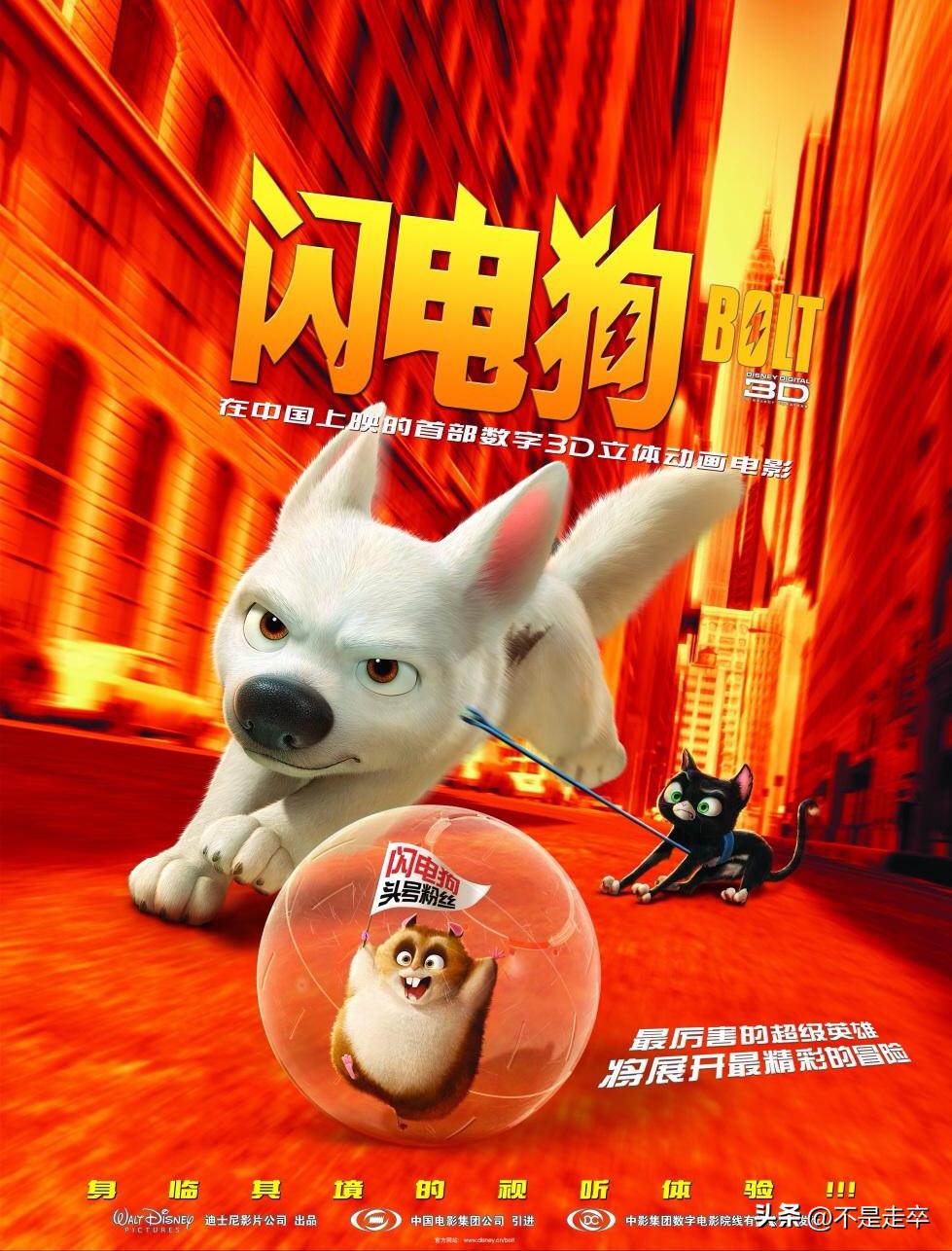Appreciation of the movie "Lightning Dog": social and cultural ...