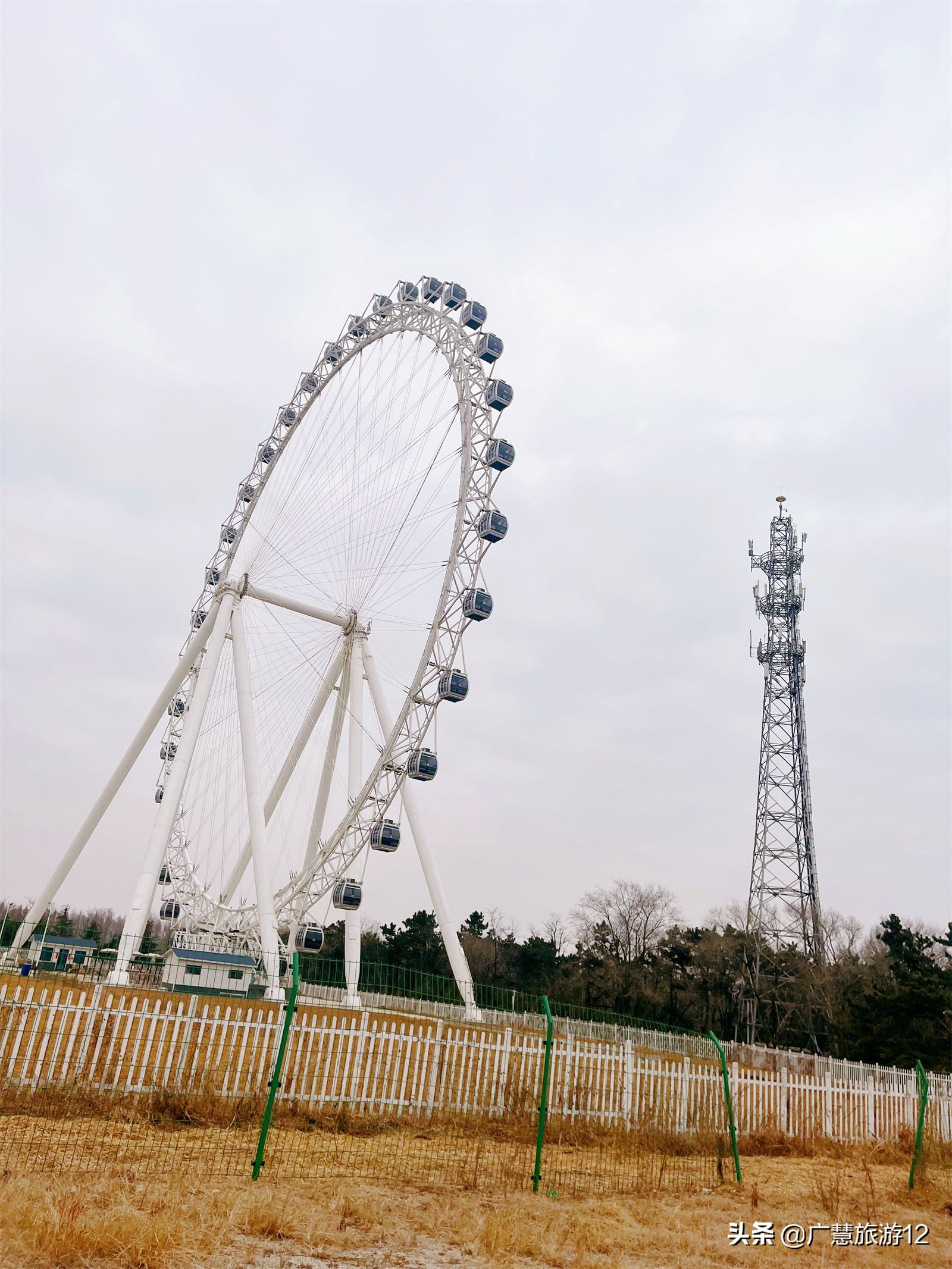 Rizhao Seaside National Forest Park - iNEWS