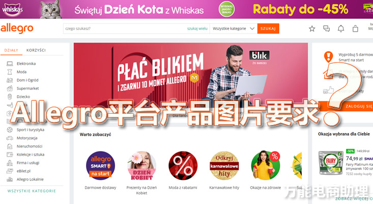 Allegro Poland advantages and disadvantages analysis, Allegro platform ...