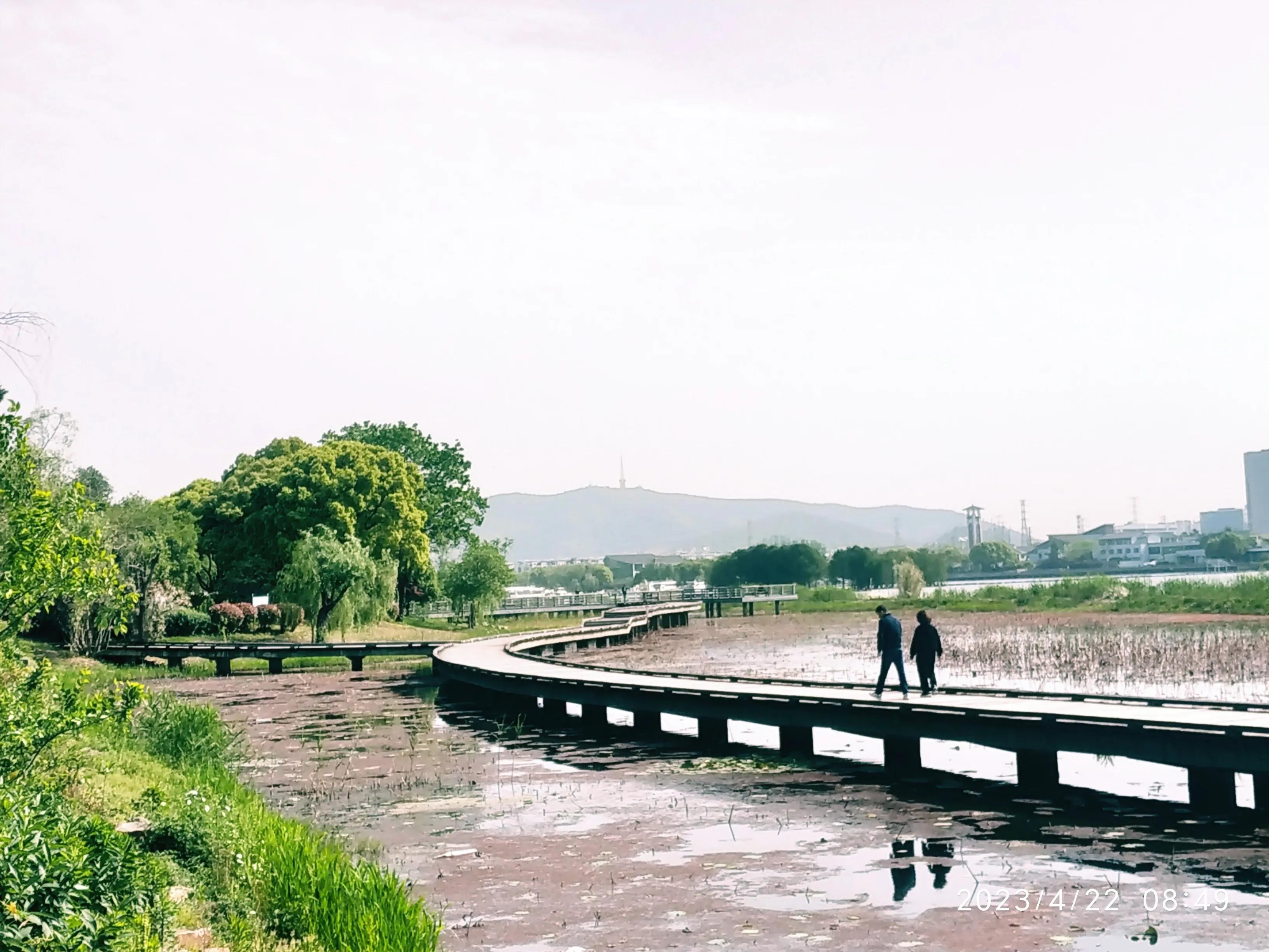 "Essay. Reading. Listening to Books" - iMedia