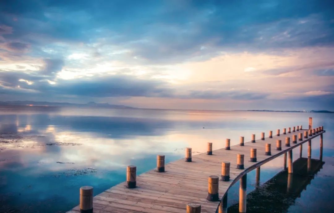 Appreciation of American Literature: "Peace is Peace for People, Peace ...