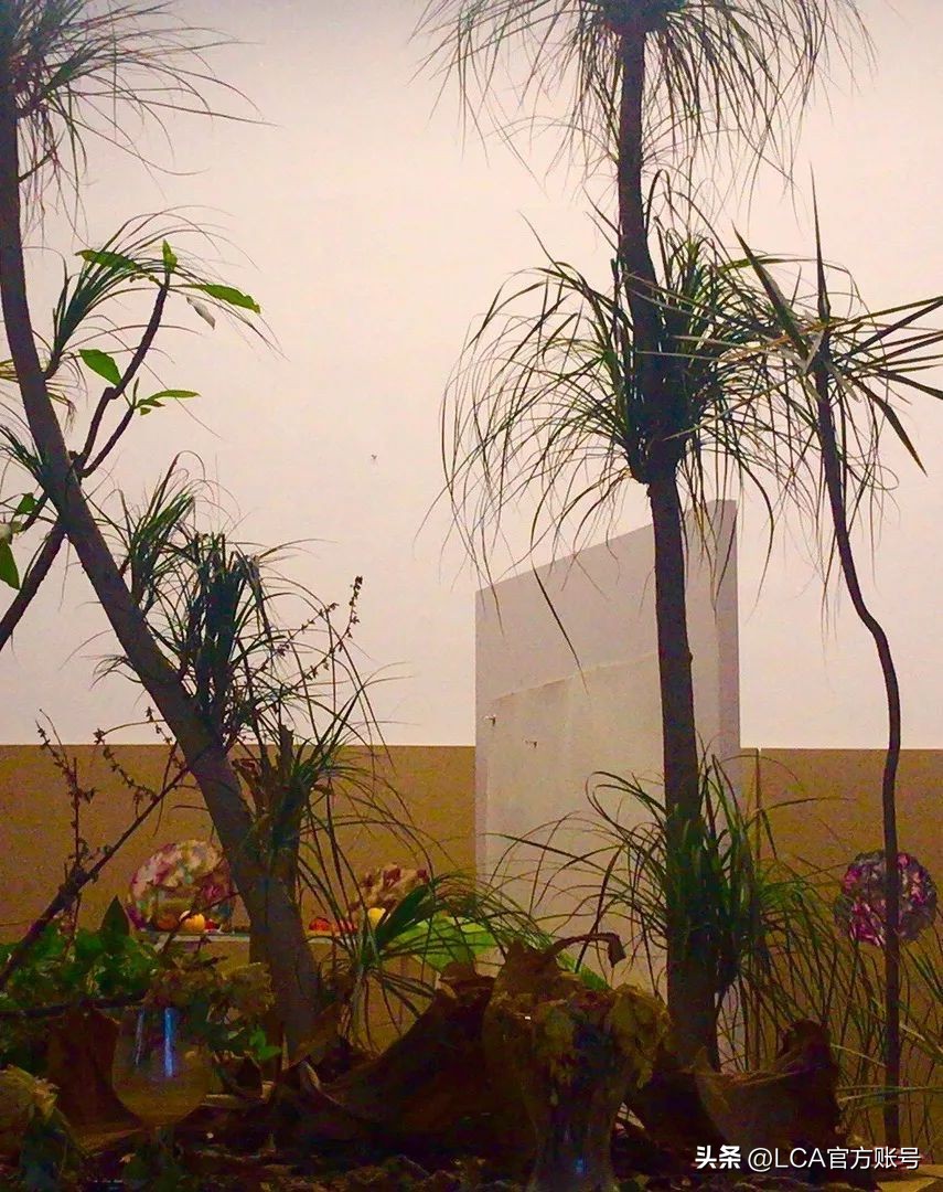 flower, not flower - iMedia