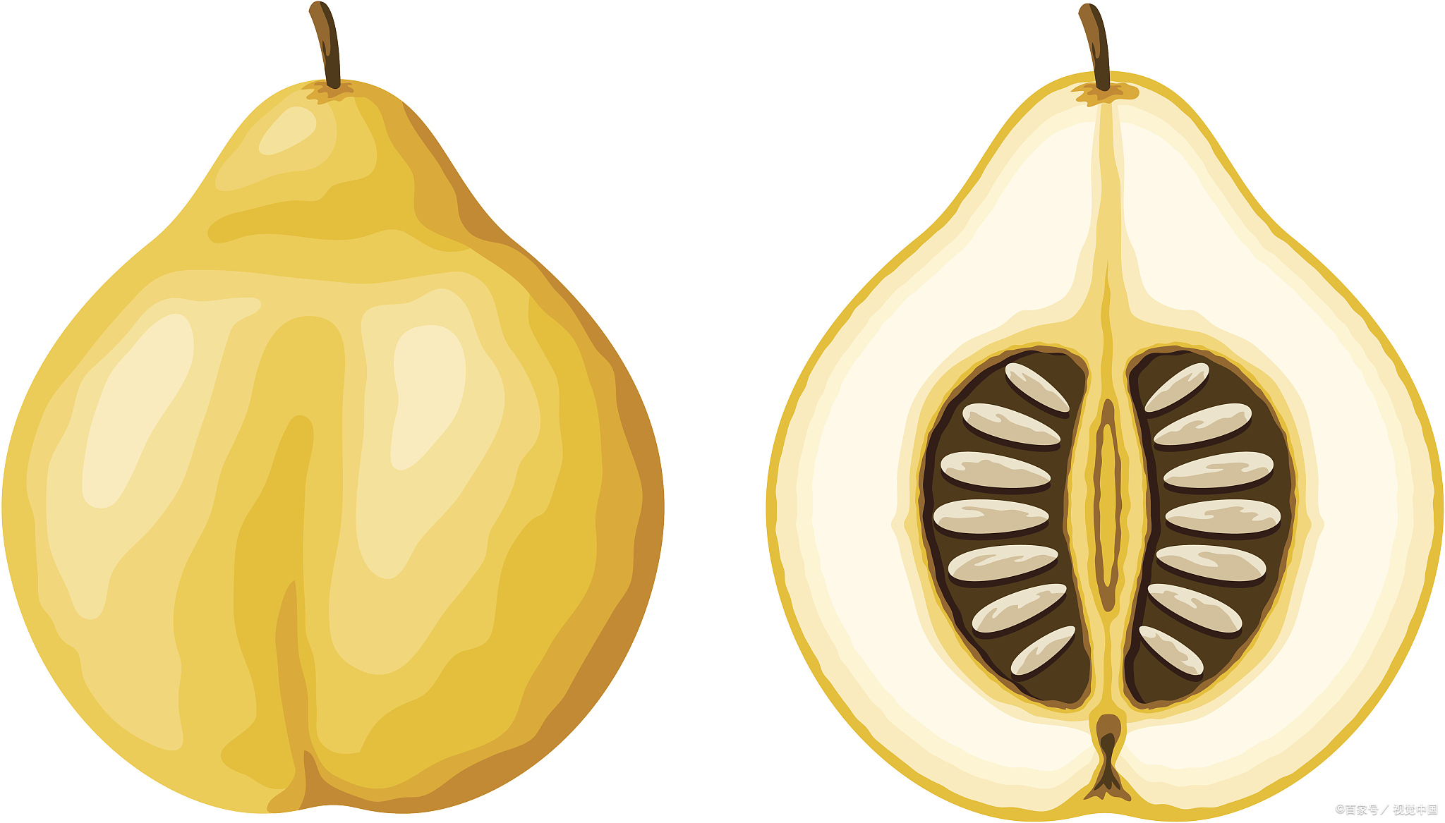 Fruit Star Guest: 6 Health Benefits of Quince - iNEWS