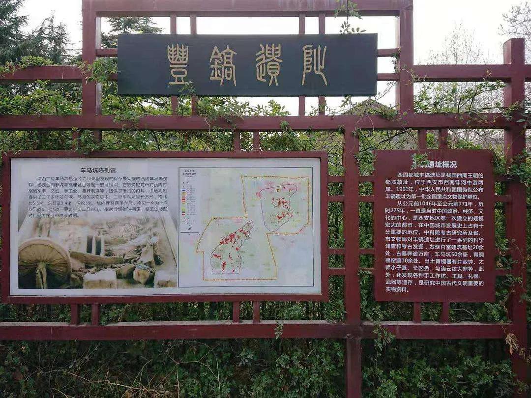 Wuyang Jiahu site is the birthplace of Chinese food culture - iNEWS