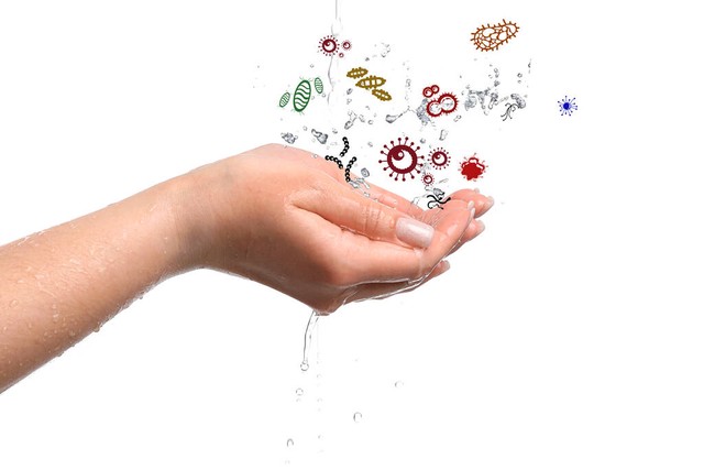 Body Defense: How to Boost Your Body's Immunity and Prevent Disease - iNEWS