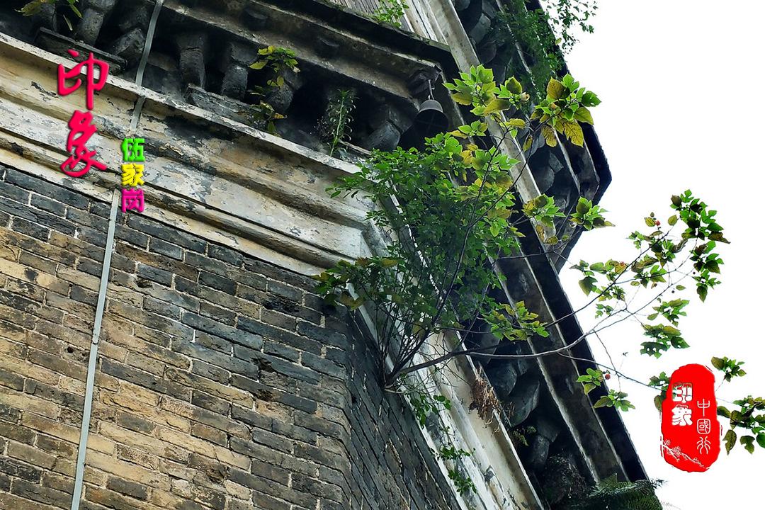 Natural Tower, Yichang Museum, Brick Tea Making Technique, Cold Shrimp ...
