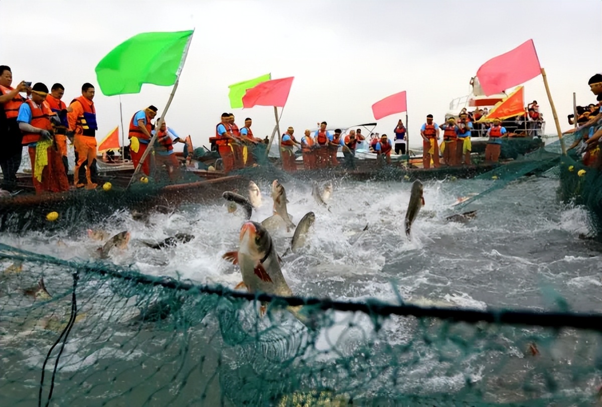 The Famous Westward Journey Fish - iNEWS