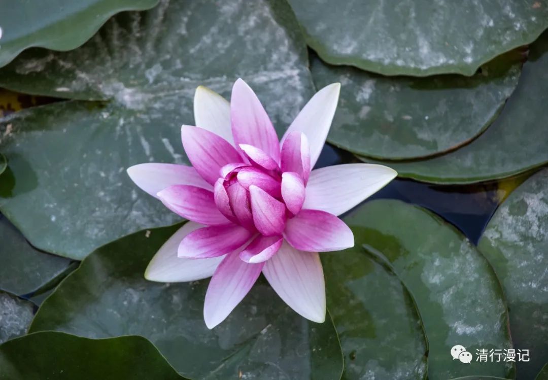 Bosten Lake Tour in Xinjiang - iMedia