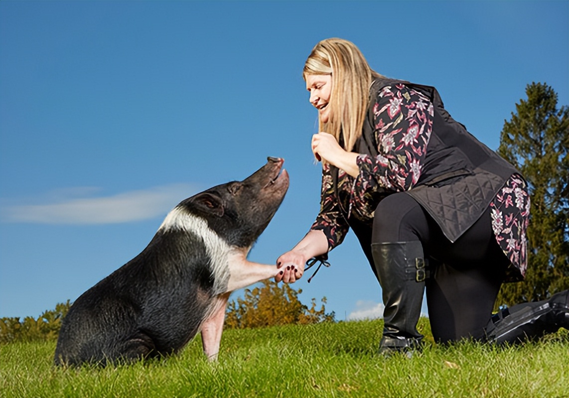 Animals are also "crazy", 16 Guinness World Records set by animals - iNEWS