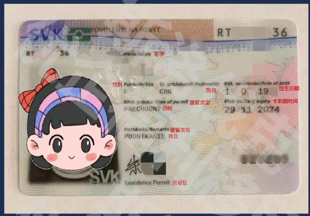 EU green card, permanent residence in different countries, successful ...