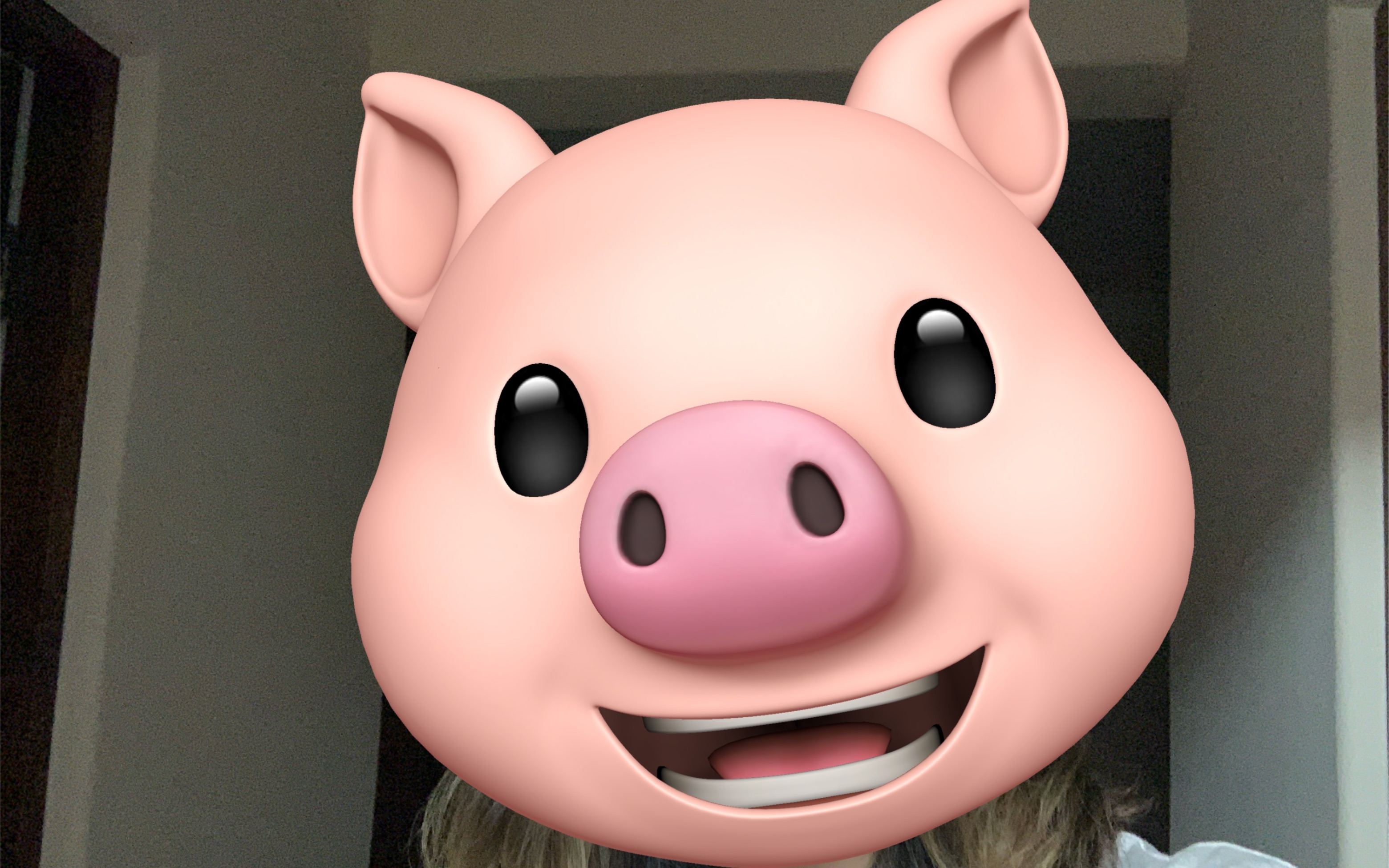 Pig brains, rabbit heads, fish heads...how much do Chinese people love ...