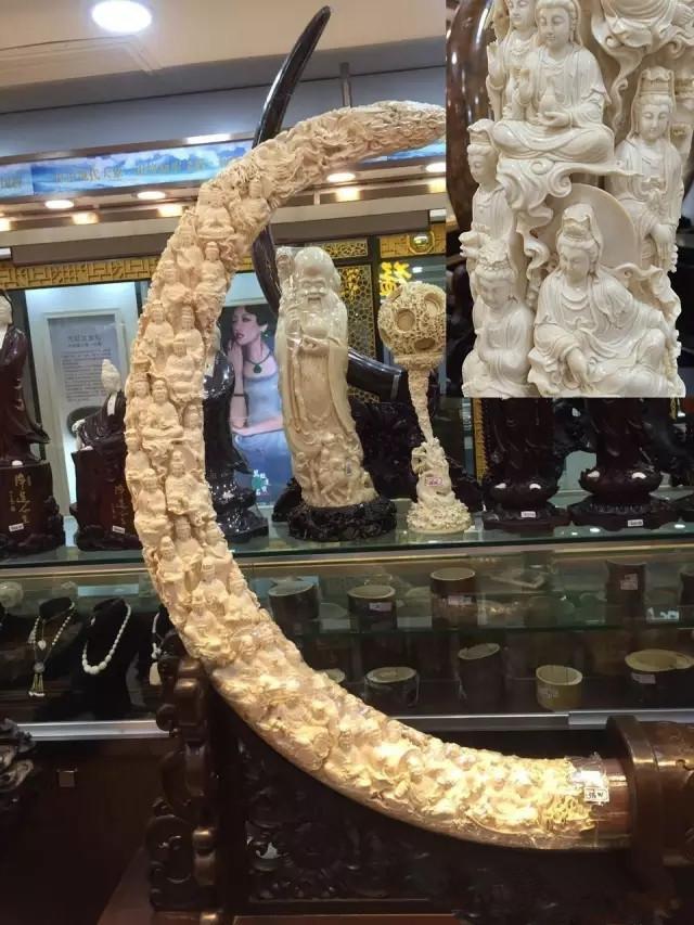 Risking life to reveal fake mammoth ivory inside story - iMedia