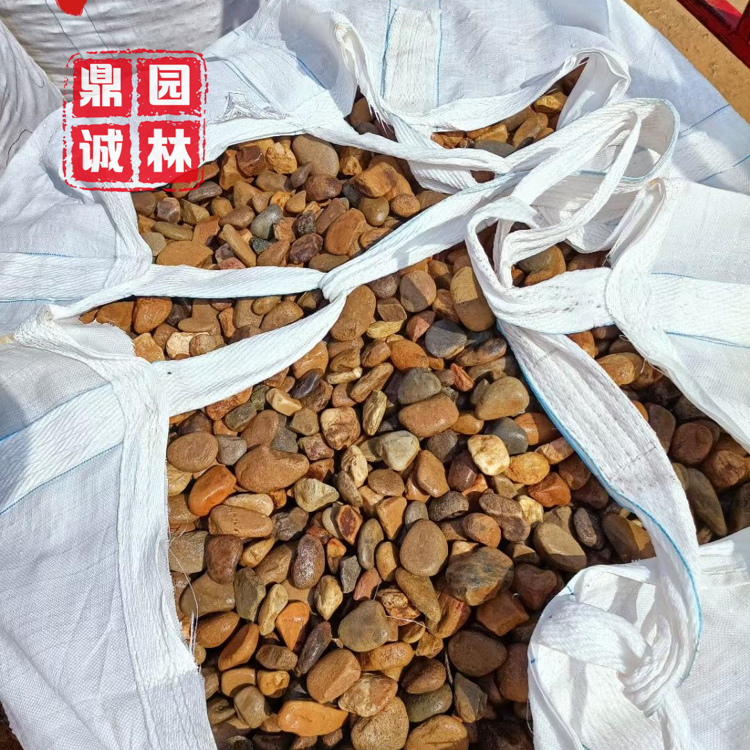 Variegated cobblestone various specifications greenway paving stone art ...