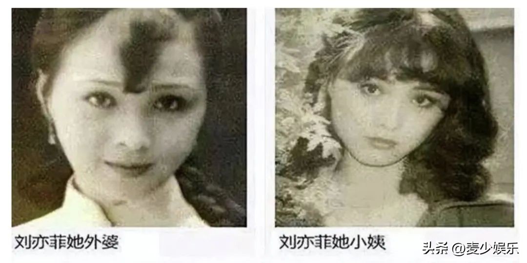 Liu Yifei's mother Liu Xiaoli: Two married and two divorced, single so ...