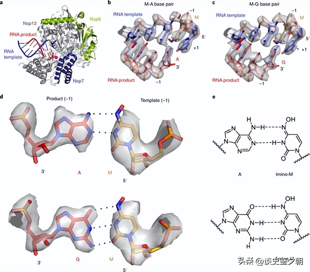 How complex is the dynamic change of RNA structure? - iMedia