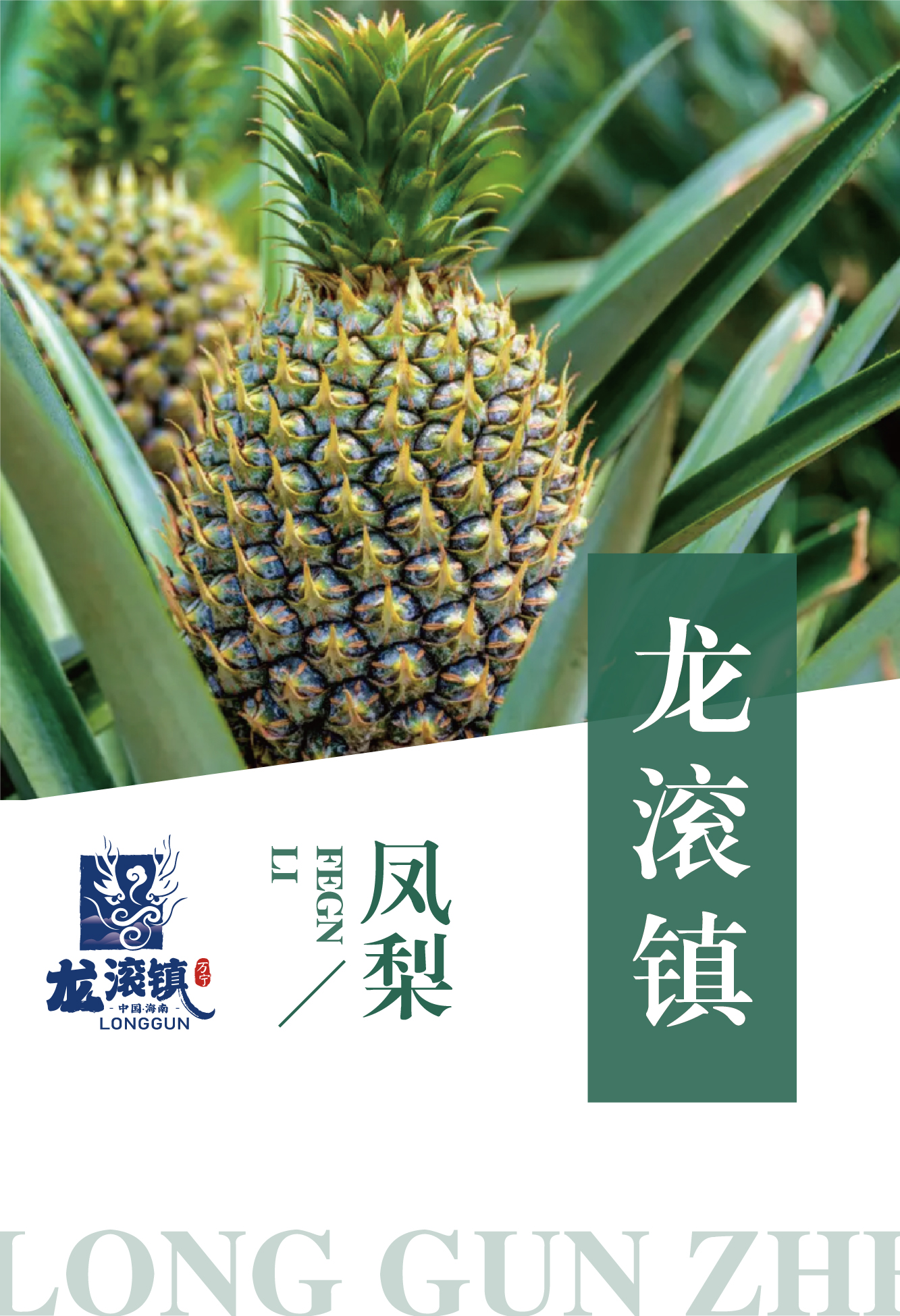 "One Town One Product" Township Display-Introduction to Longgun Town - iNEWS