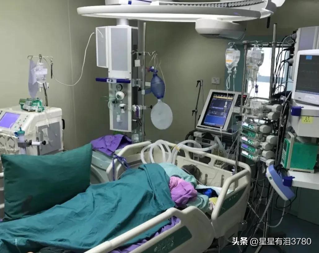 Excessive medical treatment, it is better to let him "leave" with ...