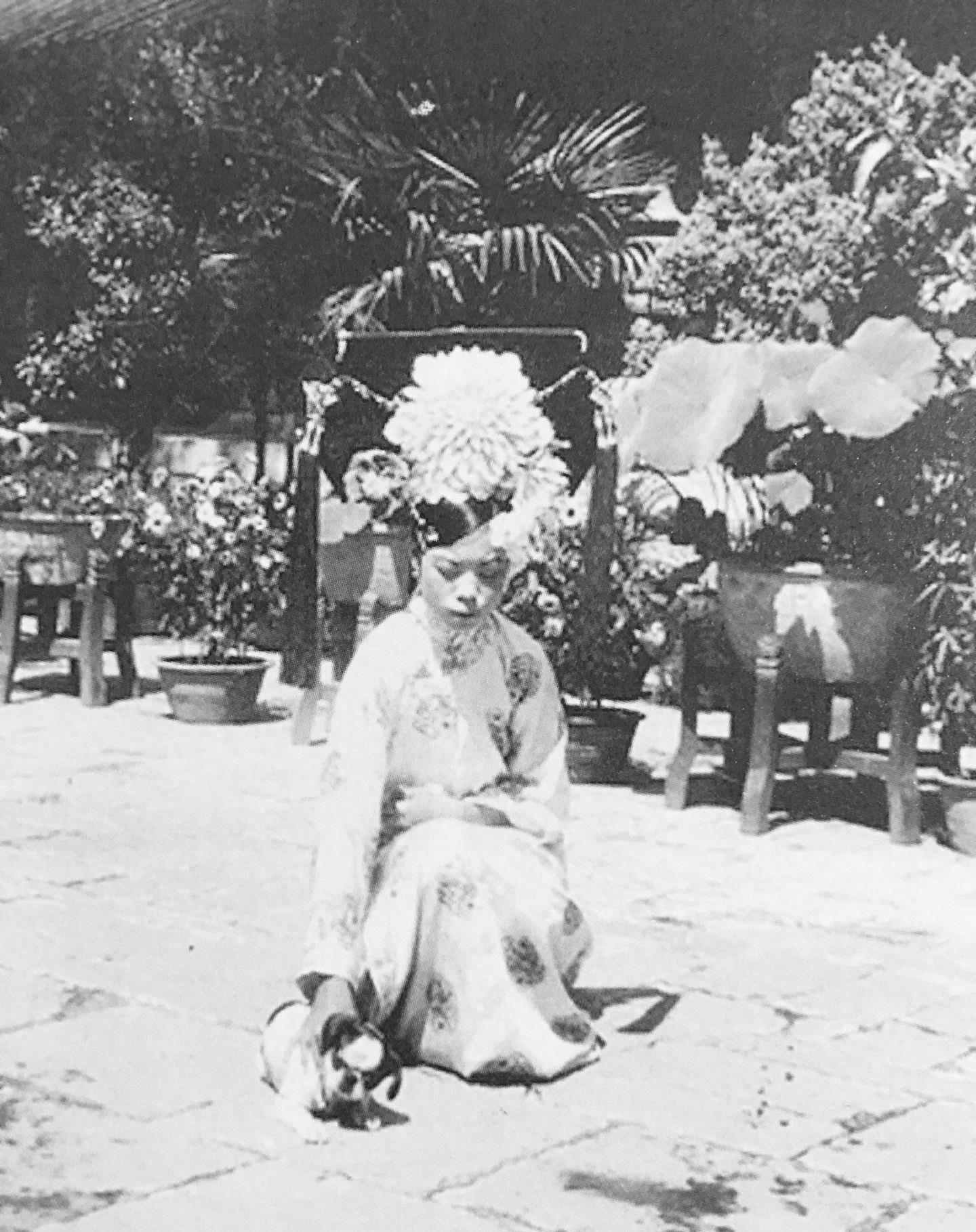 The last emperor Puyi had five wives in his life, and his favorite was ...