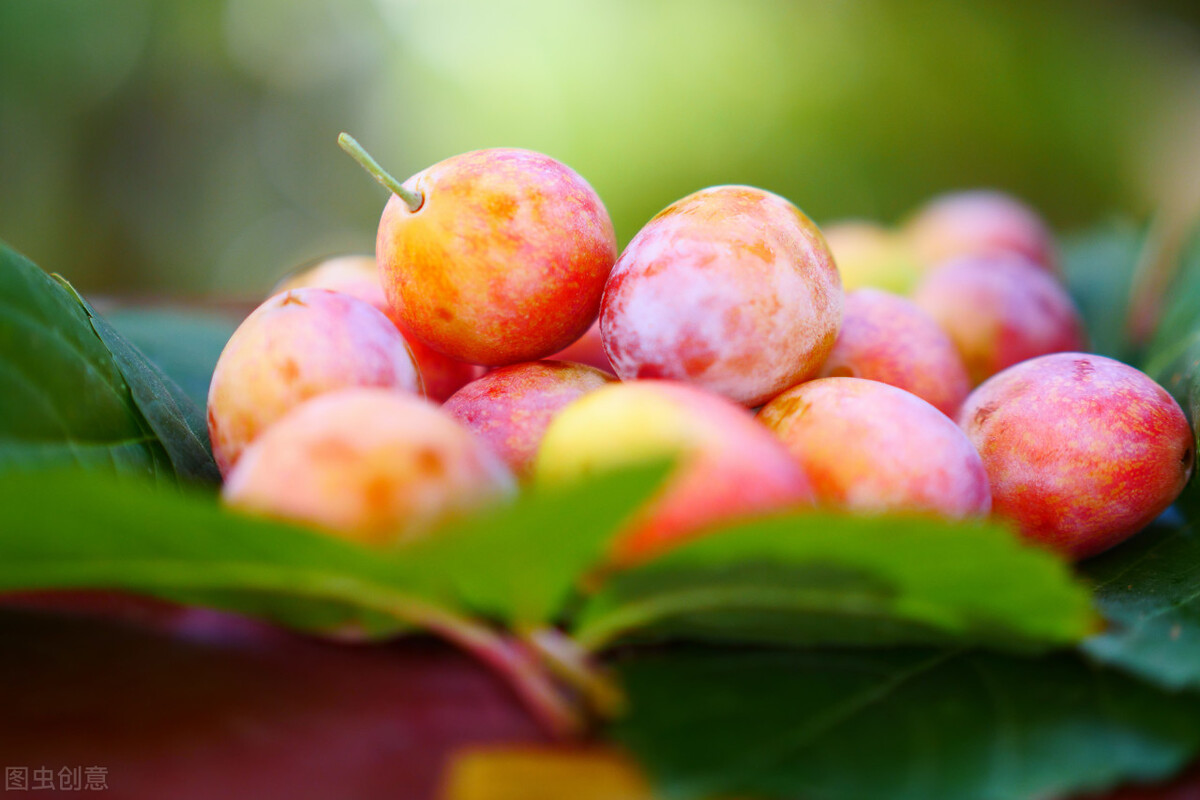 Are prunes high in sugar?Can you eat during weight loss? - iNEWS