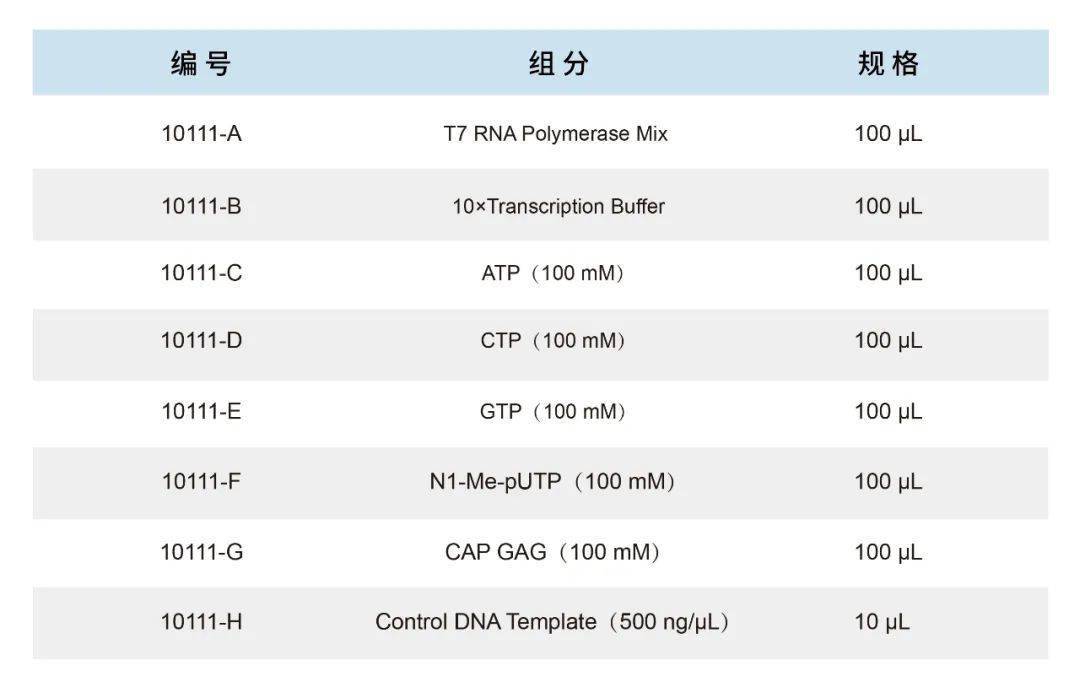 Self-developed mRNA one-step co-transcription cap analog - iNEWS