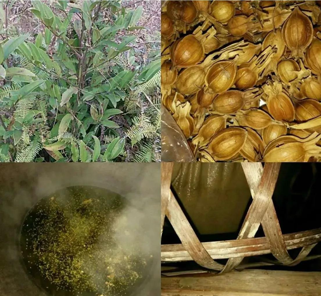 Hakka Food: Pingyuan Yellow Rice - iNEWS