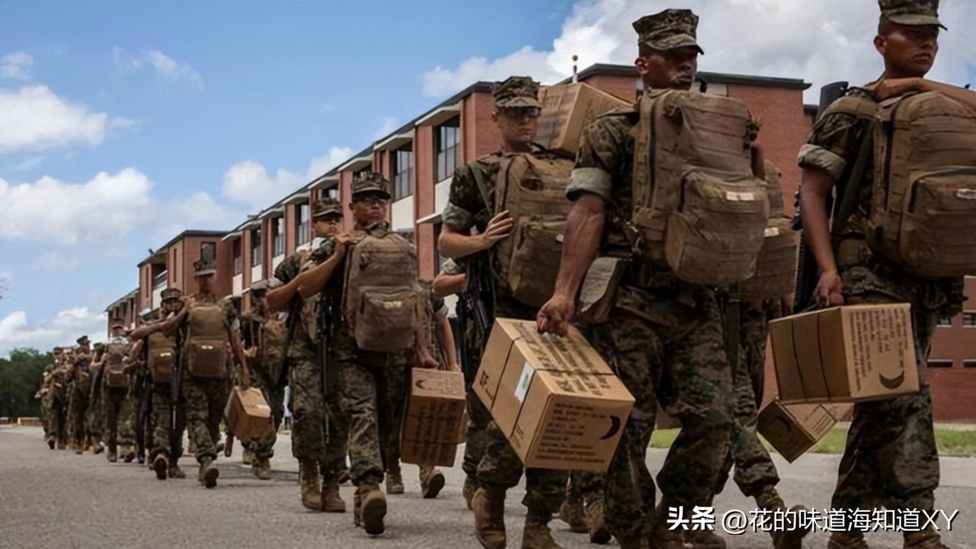 Awkward! Dutch pilots question Ukraine's operational capabilities ...