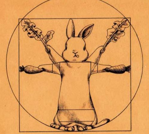On the Historical and Cultural Significance of Rabbits in Ancient Egypt ...