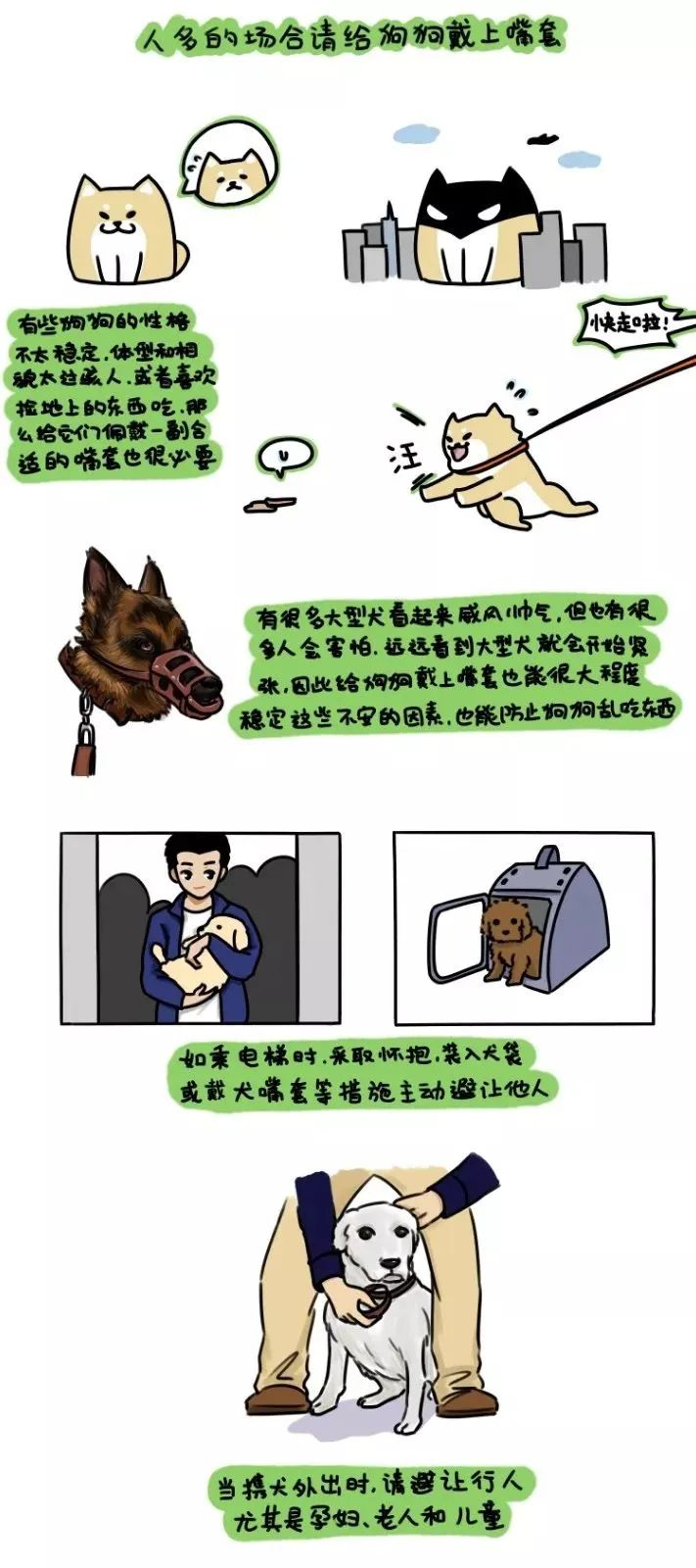 A group of cartoons tell you how to raise dogs in a civilized manner ...