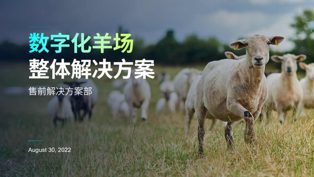 The PPT about herding sheep is a bit interesting - iMedia