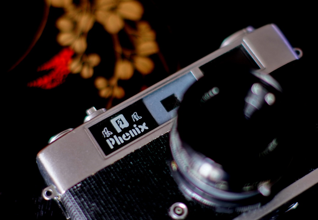 The "205" camera named by two birds: how many families used to be the ...