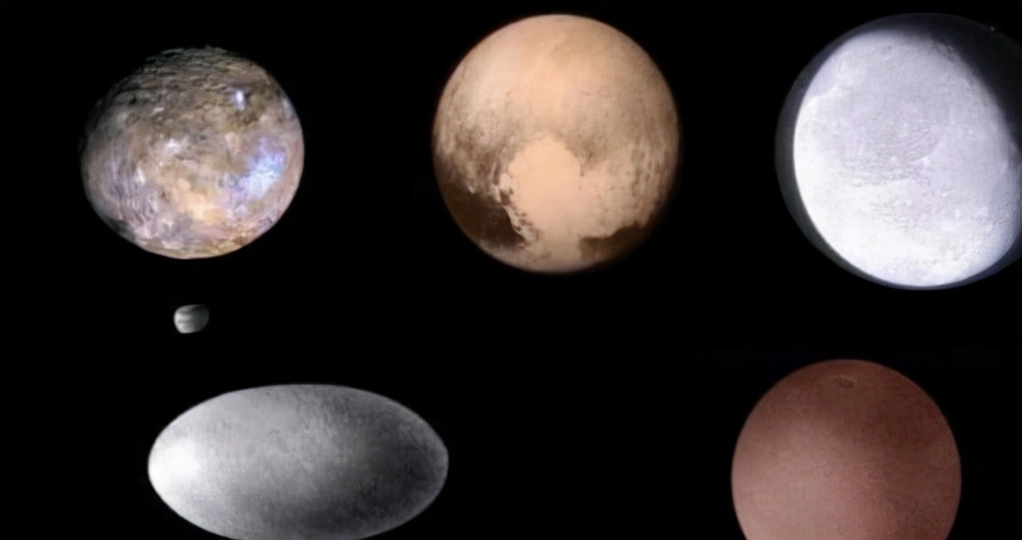 Pluto discovered a "giant snail", a creature 100 million times larger ...