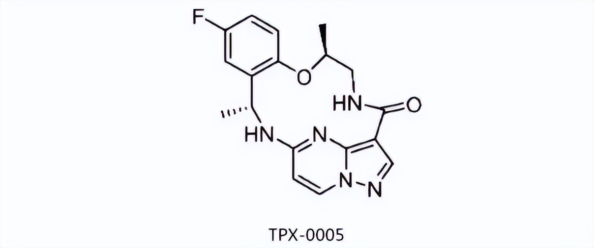 The latest Chinese data on the new multi-target lung cancer drug ...