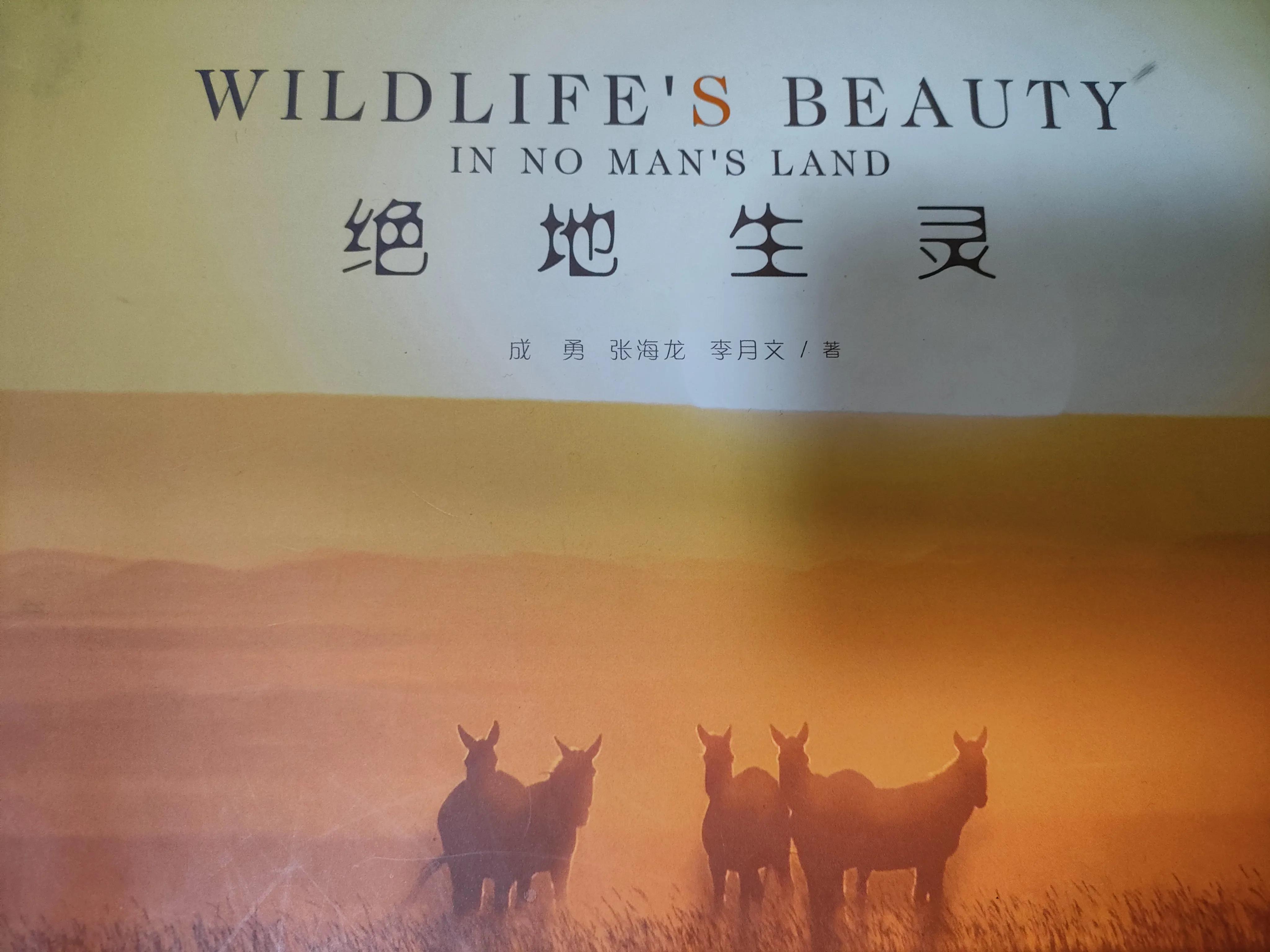 Master Hongyi: The end of glory is sorrow, and glory is like the cycle ...