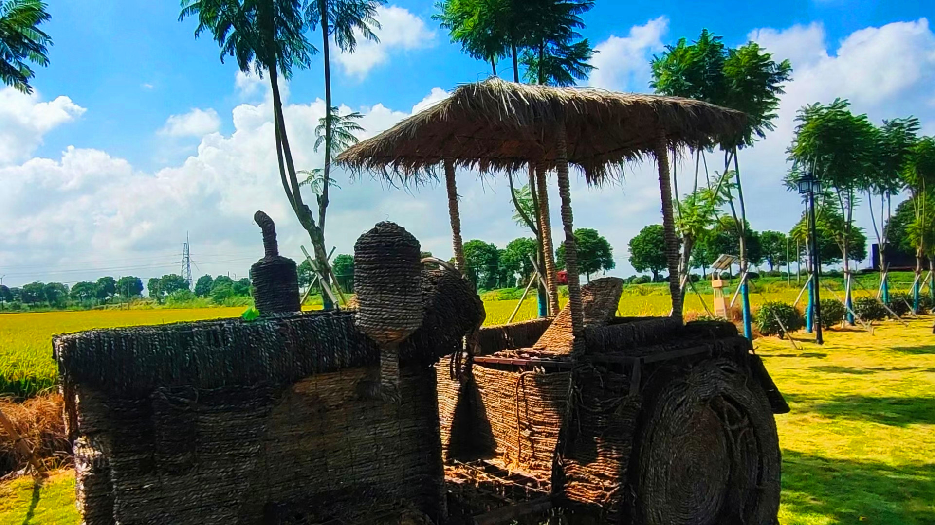 Punch in the net red paddy field - iNEWS
