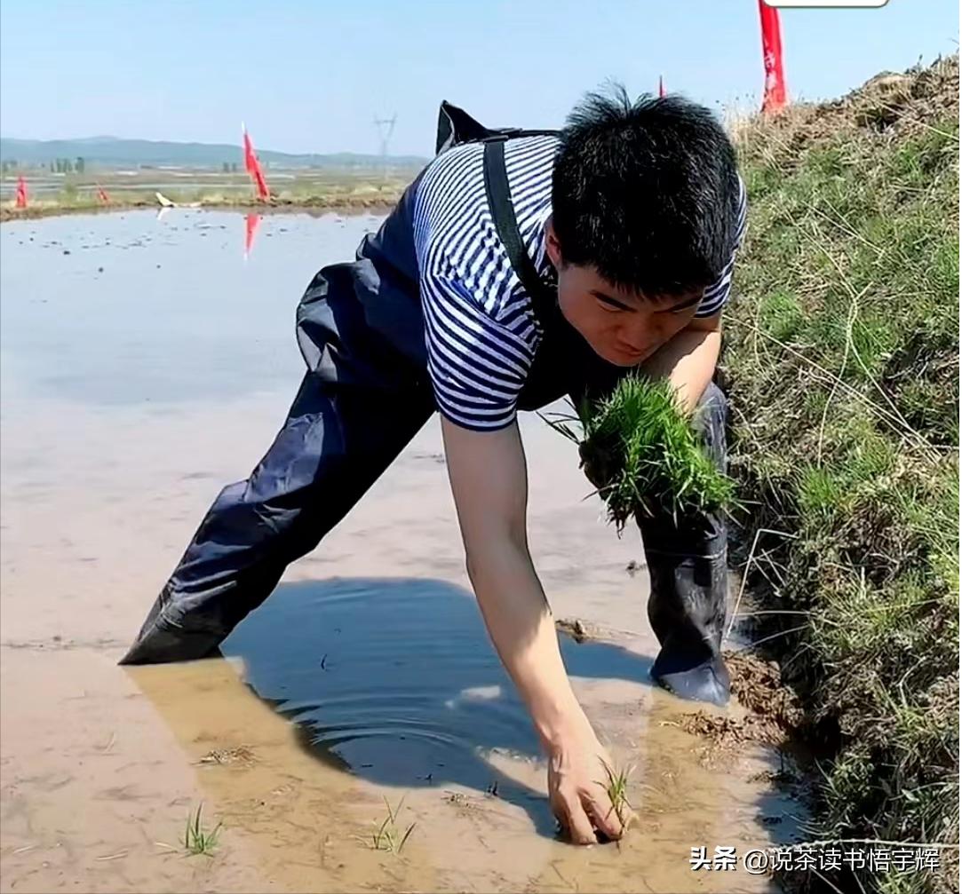 The interview between Dong Yuhui and Yin Ye is full of knowledge points ...