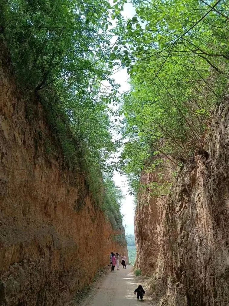 Yujinchuan and Hanwa Village on Jinhuiyuan in Huazhou - iNEWS