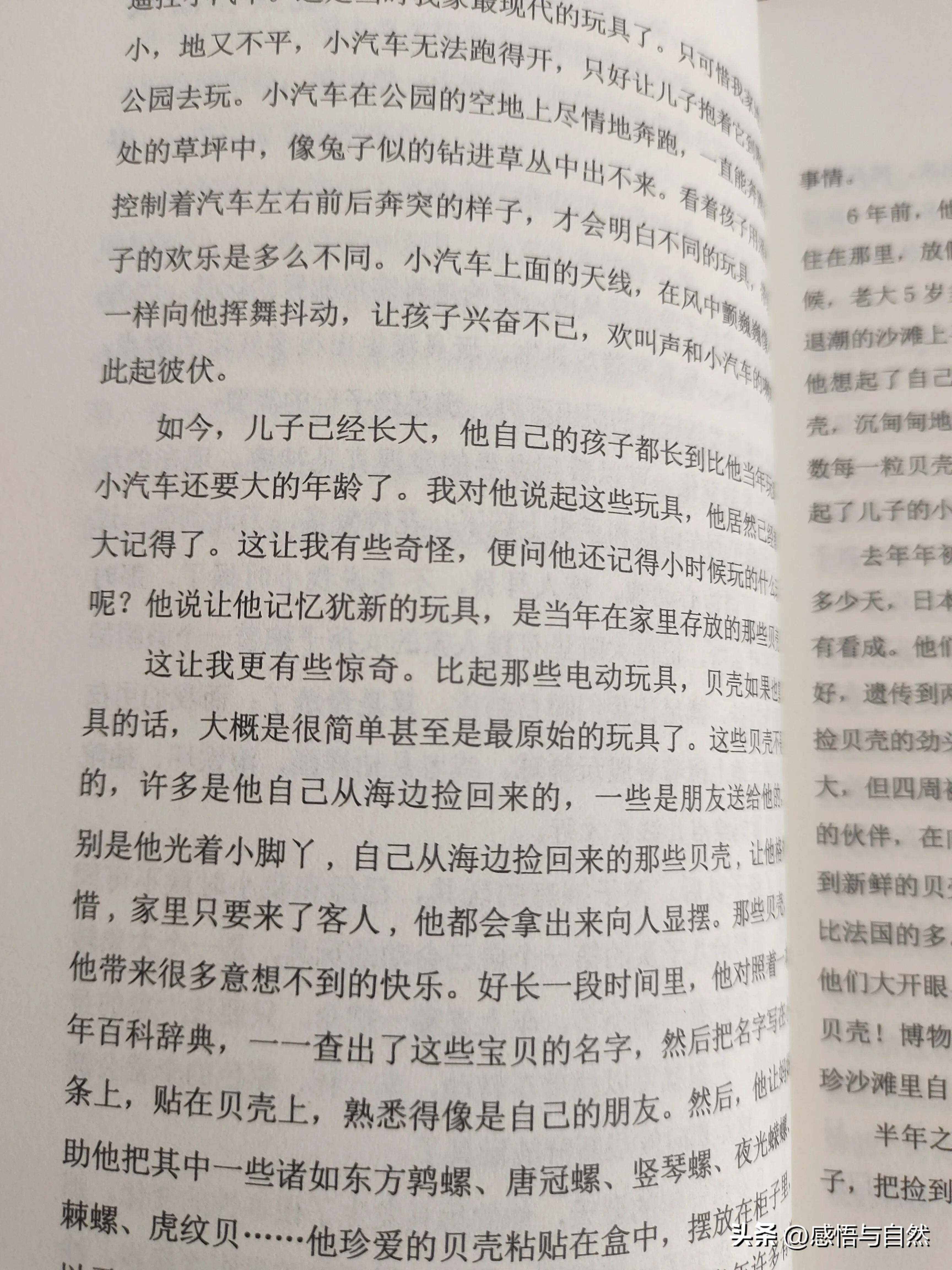 The big pattern in the small article, poetry and the distance are not ...