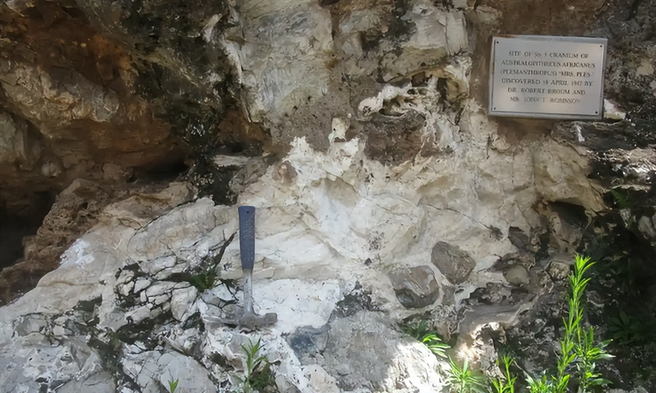 The discovery of ancient human fossils in South Africa advances human ...