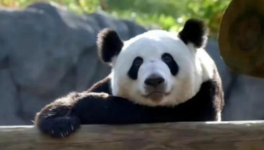 International Observation: Real photos of the current status of the ...