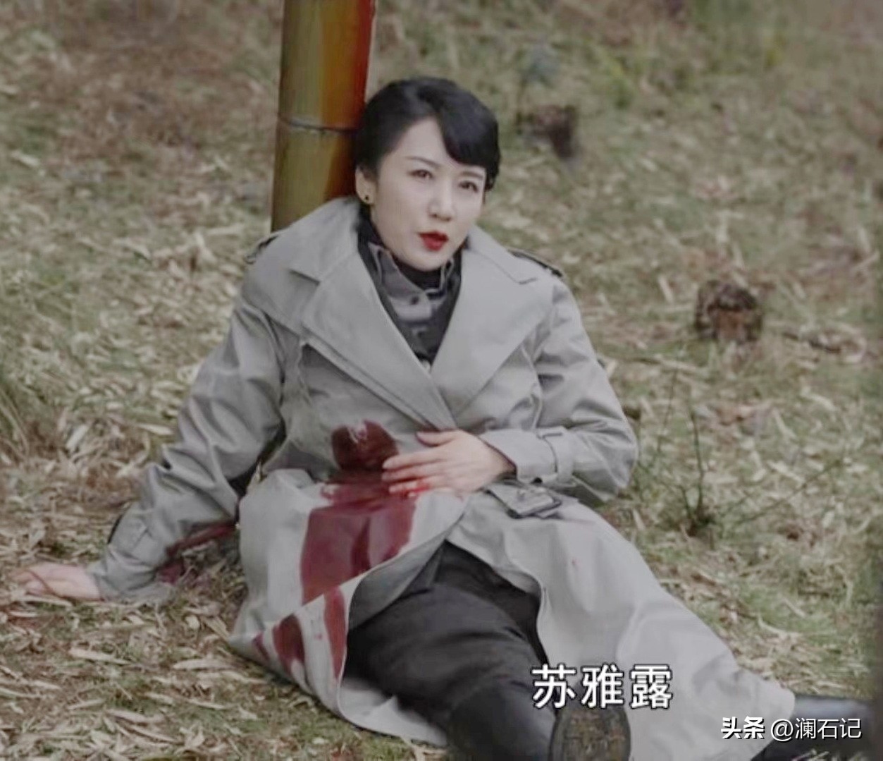 Exploring the specious history in "Stalker", Fang Jiashu is not a ...