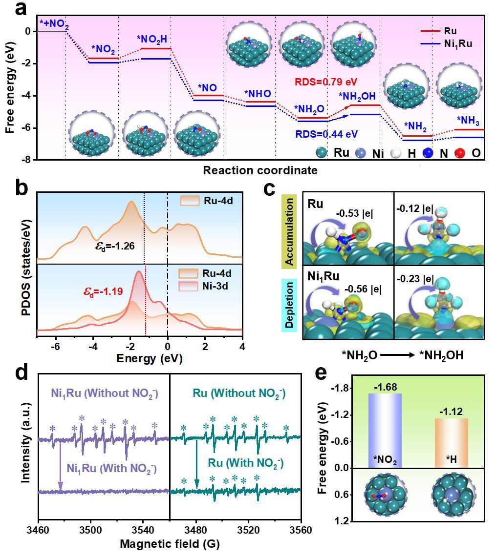 AFM: Ni1Ru single-atom alloy for electrocatalytic reduction of nitrite ...