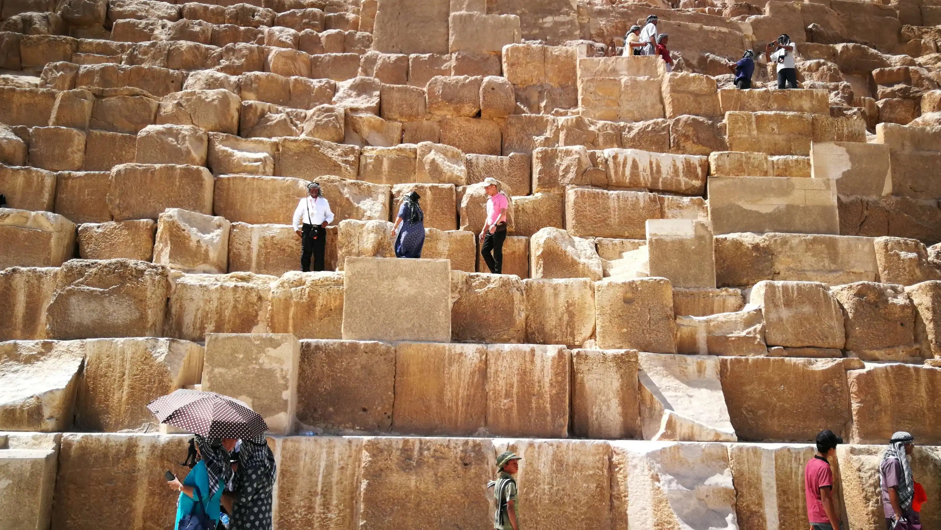 When the Egyptians built the pyramids, what were the ancestors of the ...