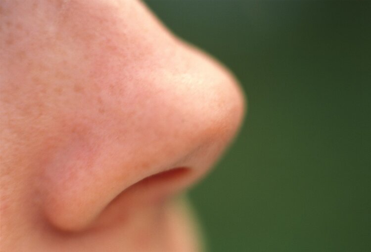 What does the man whose nose hair always "channels" out suggests?Why do ...