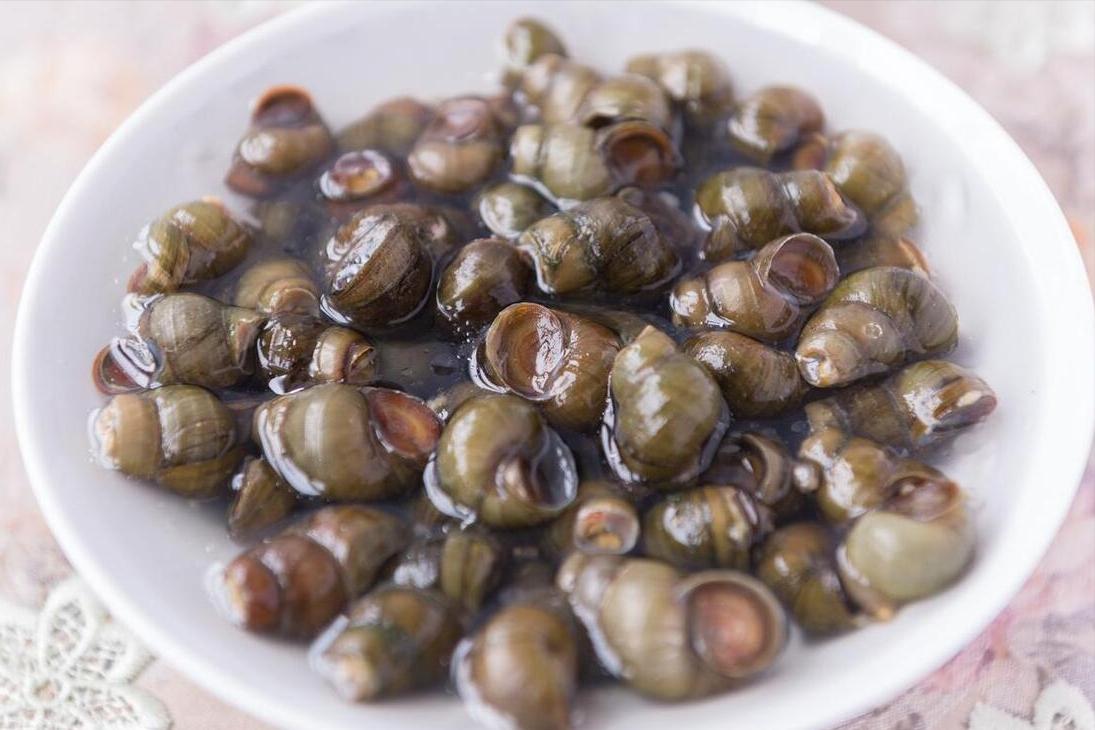 When cleaning snails, you only know how to add salt. If you secretly ...