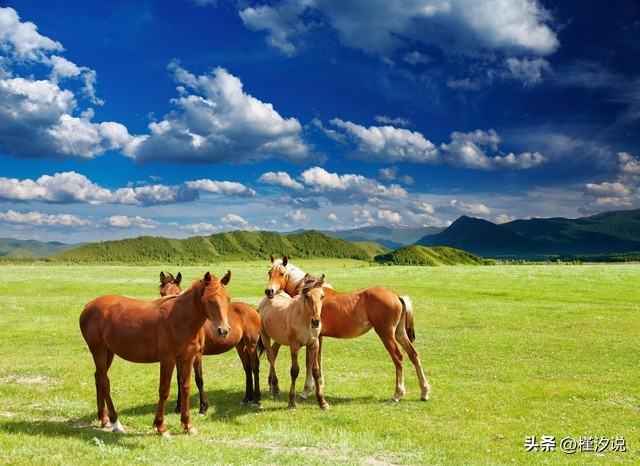 prairie sky - iMedia